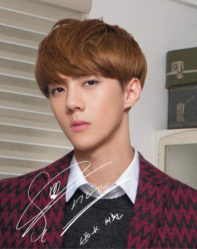 Sehun picture