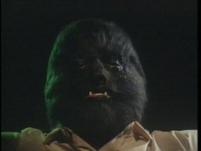 Picture of Wolfman