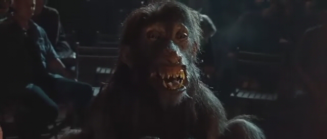 Picture of Cirque du Freak: The Vampire's Assistant