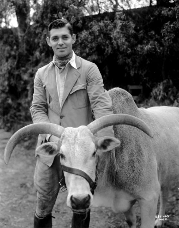 Picture of Clark Gable