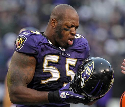 Picture of Terrell Suggs