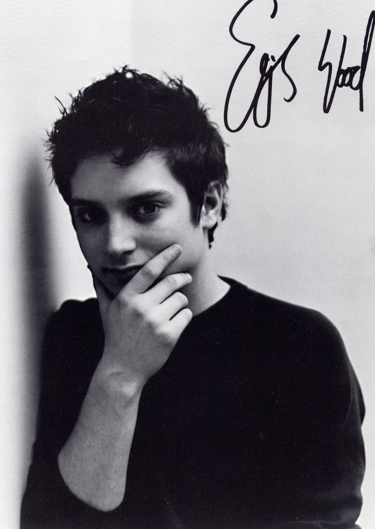 Picture of Elijah Wood