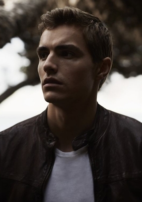 Dave Franco image