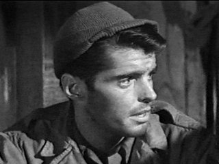 Picture of Steven Rogers