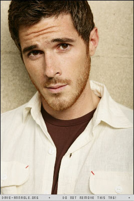 Picture of Dave Annable