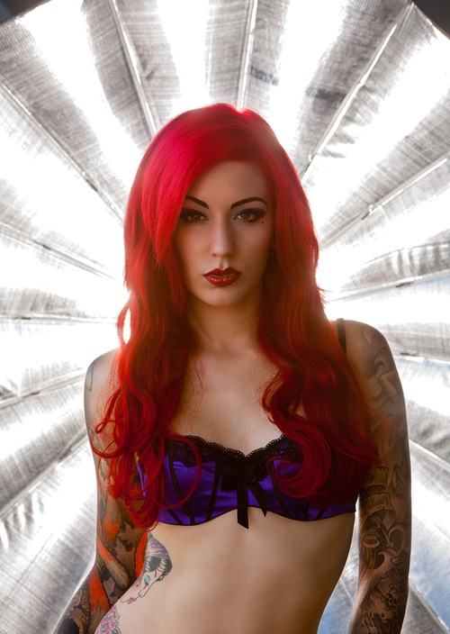 Picture of Cervena Fox