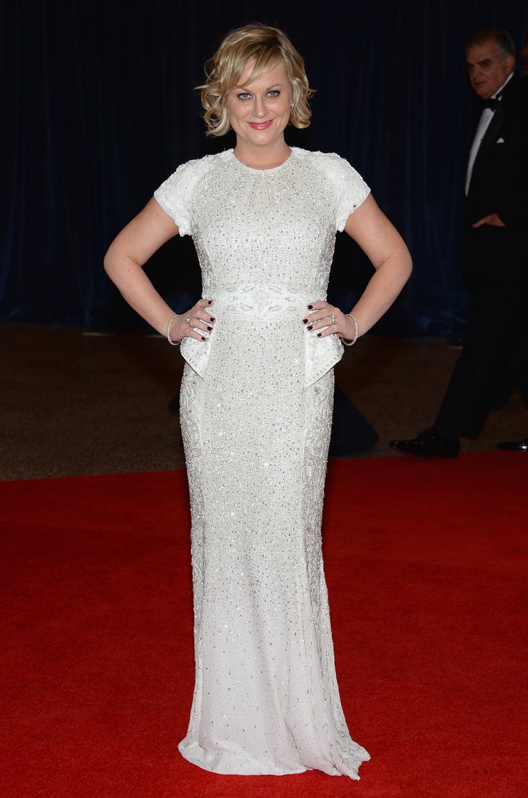 Picture of Amy Poehler