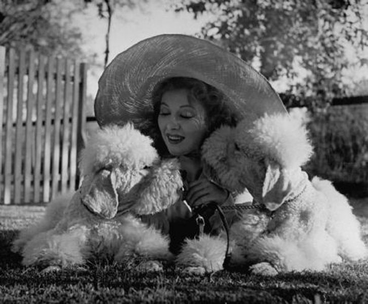 Greer Garson picture