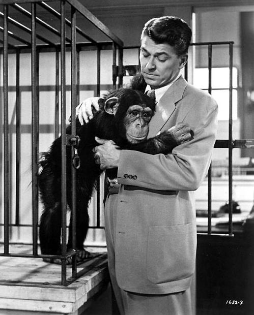 Picture of Bedtime for Bonzo (1951)