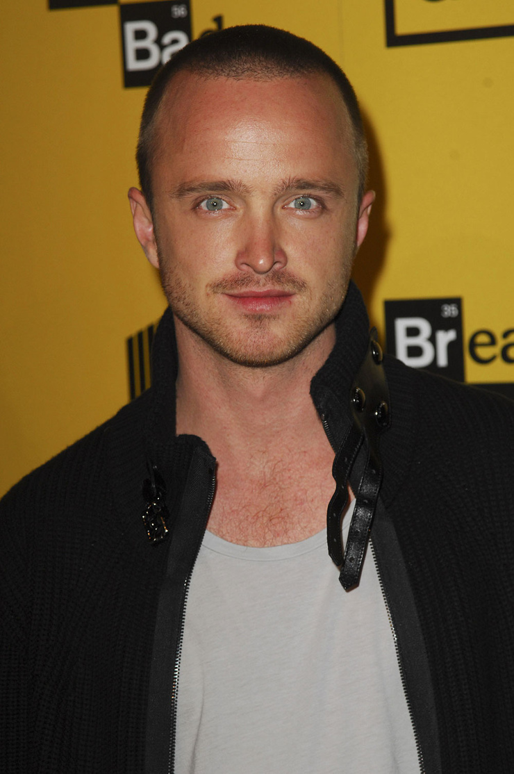 Picture of Aaron Paul