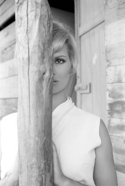 Picture of Scilla Gabel