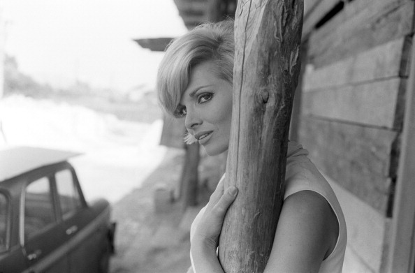 Picture of Scilla Gabel