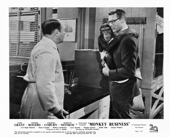Picture of Monkey Business