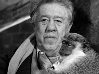 Picture of Michel Simon