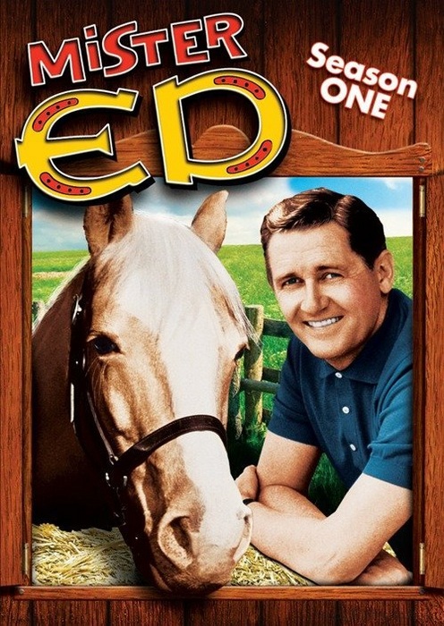 Picture of Mister Ed