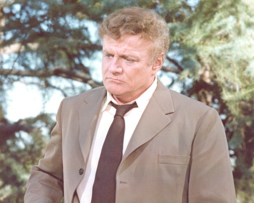 Picture of Brian Keith