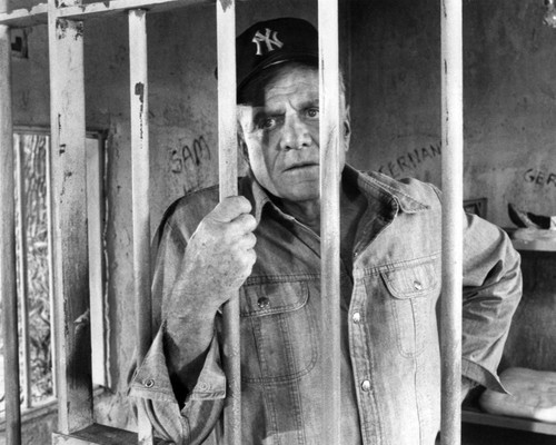 Picture of Brian Keith