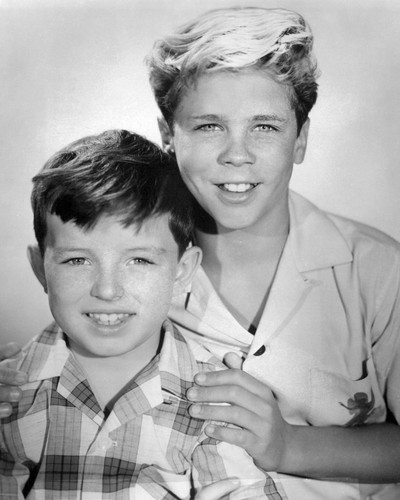 Jerry Mathers picture