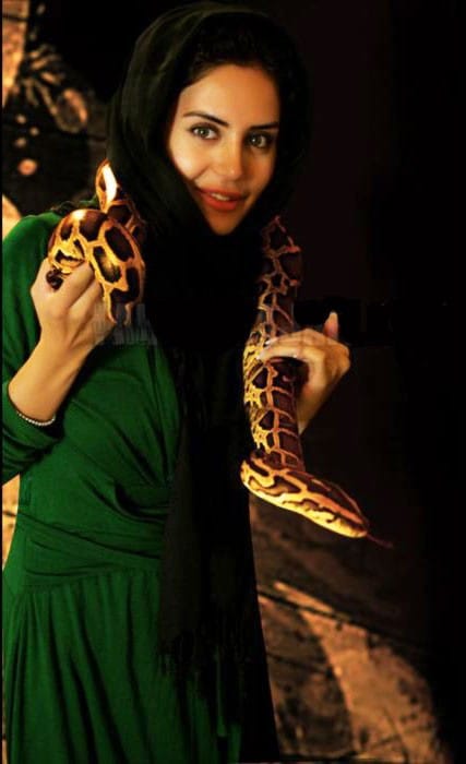 Picture of Elnaz Shakerdust