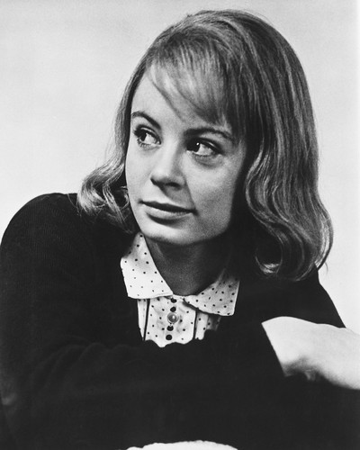 Picture of Sarah Miles