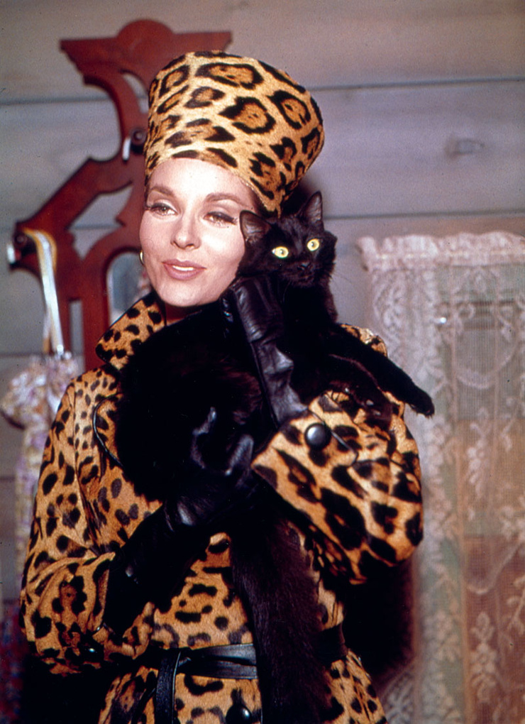 Picture of Batman: The Movie