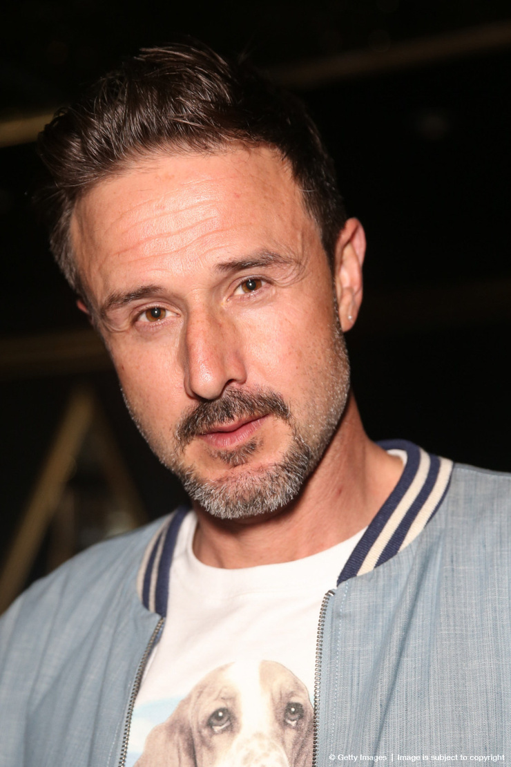 Picture of David Arquette