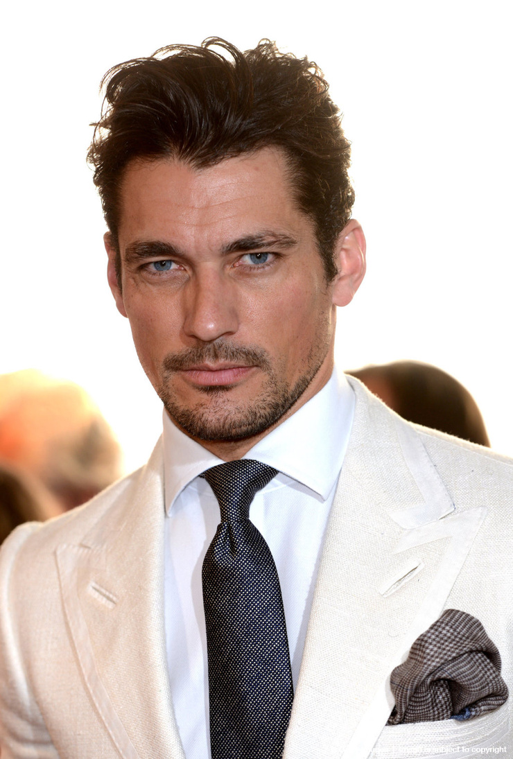 Picture of David Gandy