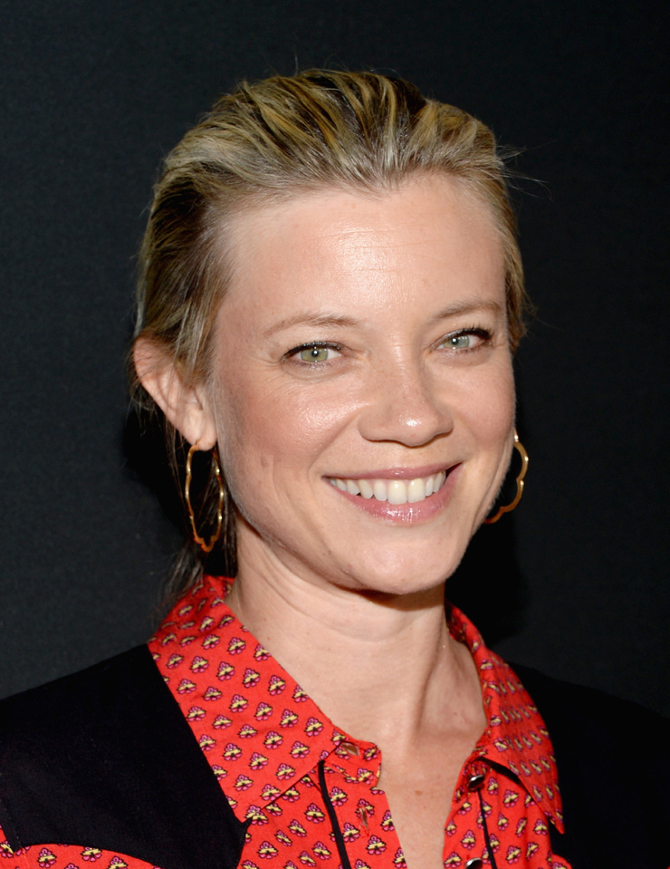 Picture of Amy Smart