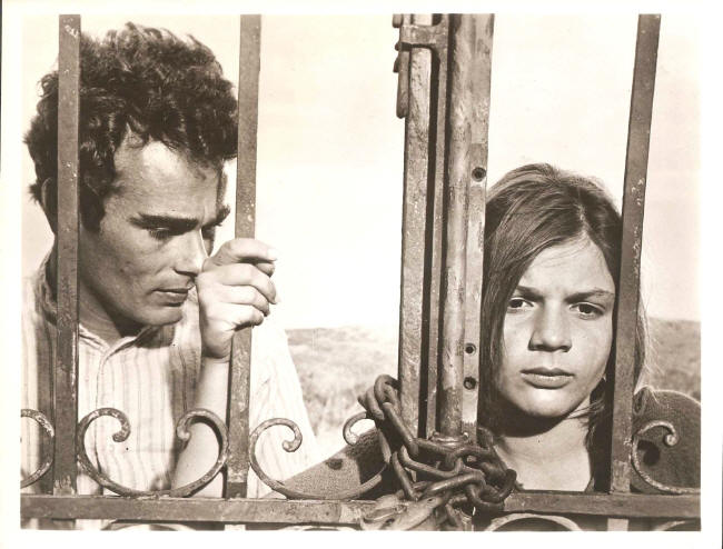 Picture of Patricia Gozzi