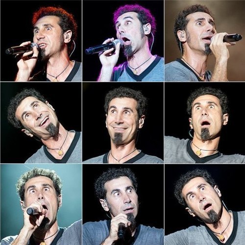 Picture of Serj Tankian