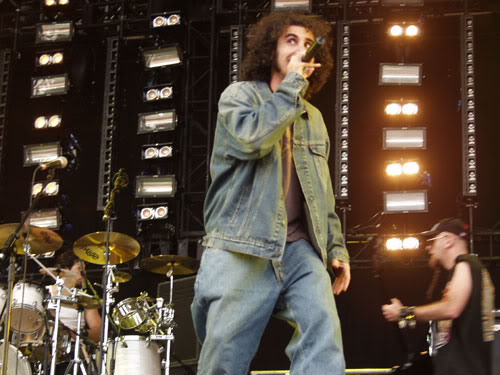 Serj Tankian image
