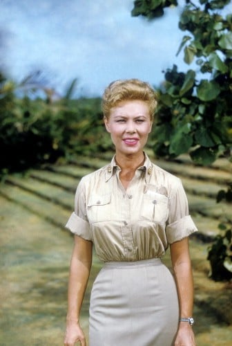 Picture of Mitzi Gaynor