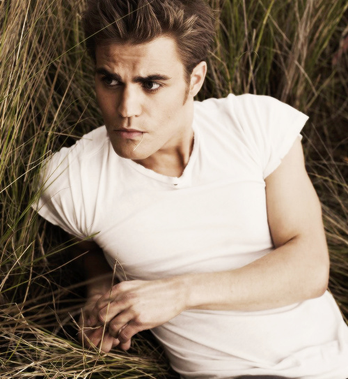 Picture of Paul Wesley