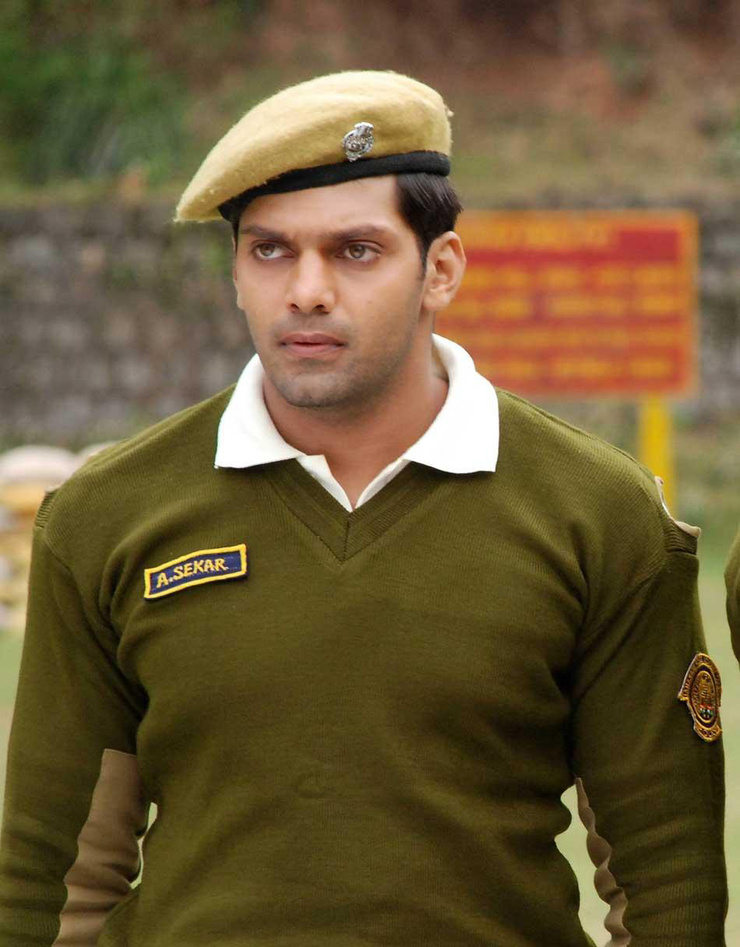 Picture of Arya