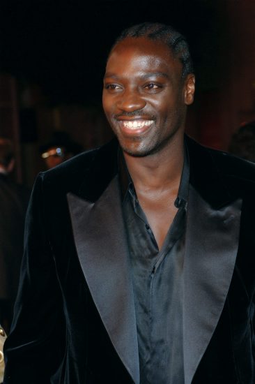 Picture of Adewale Akinnuoye-Agbaje