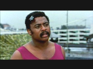 Picture of D'Urville Martin