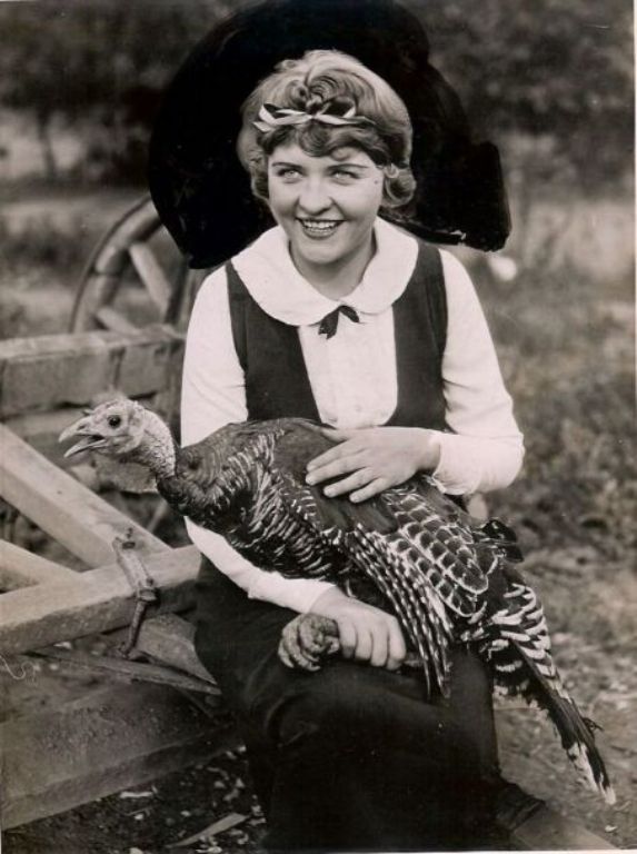 Picture of Phyllis Haver