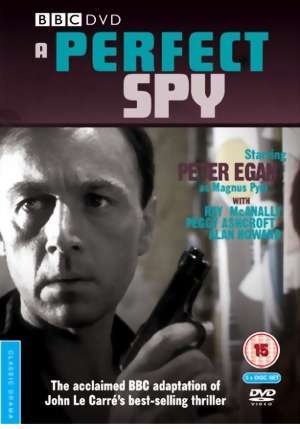 Picture of A Perfect Spy