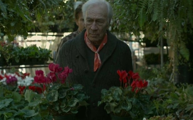 Picture of Beginners