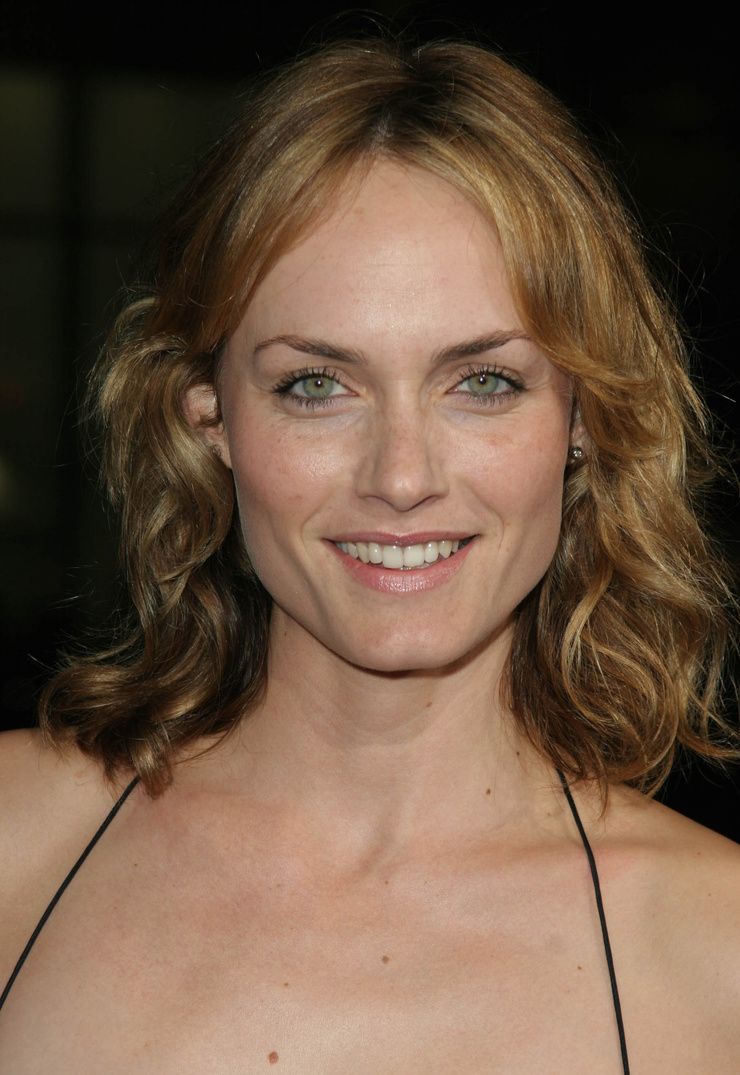 Amber Valletta image