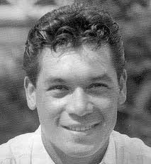 Herman Wedemeyer image