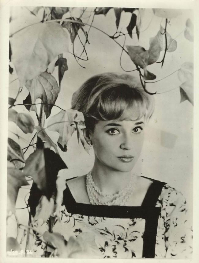 Image of Sylvia Syms