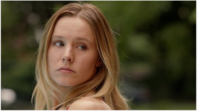 The Lifeguard picture