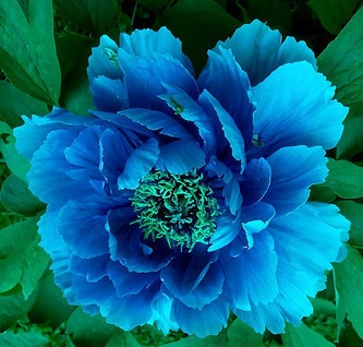 Listal - List the stuff you love! Movies, TV, music, games and books