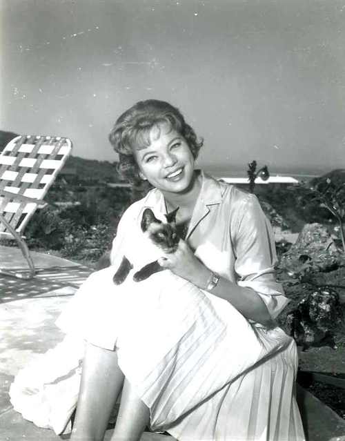 Image of Juliet Prowse