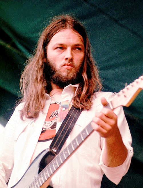 Picture of David Gilmour