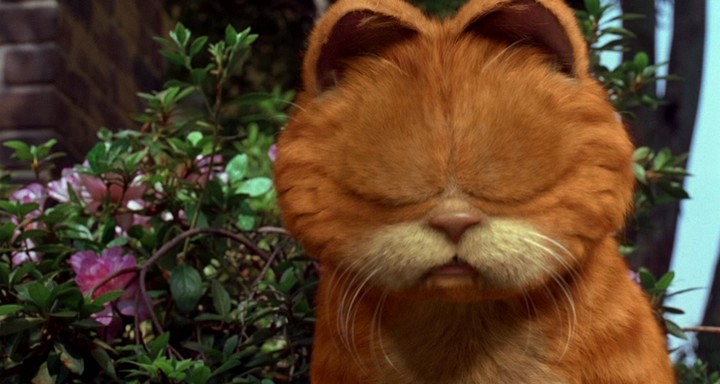 Picture of Garfield