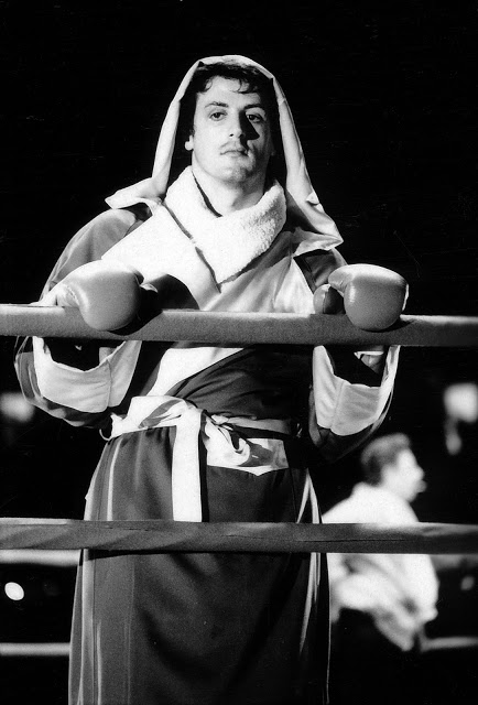 Picture of Rocky