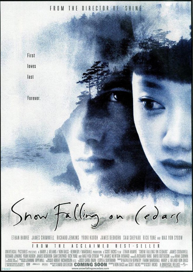 Snow Falling on Cedars image