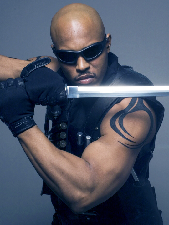 Picture of Blade: The Series